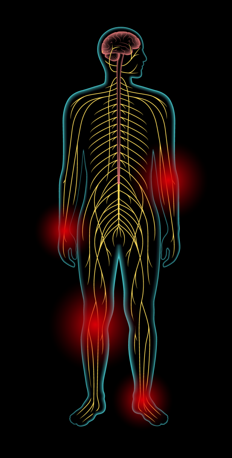 Improve your quality of life through peripheral nerve health - Global ...