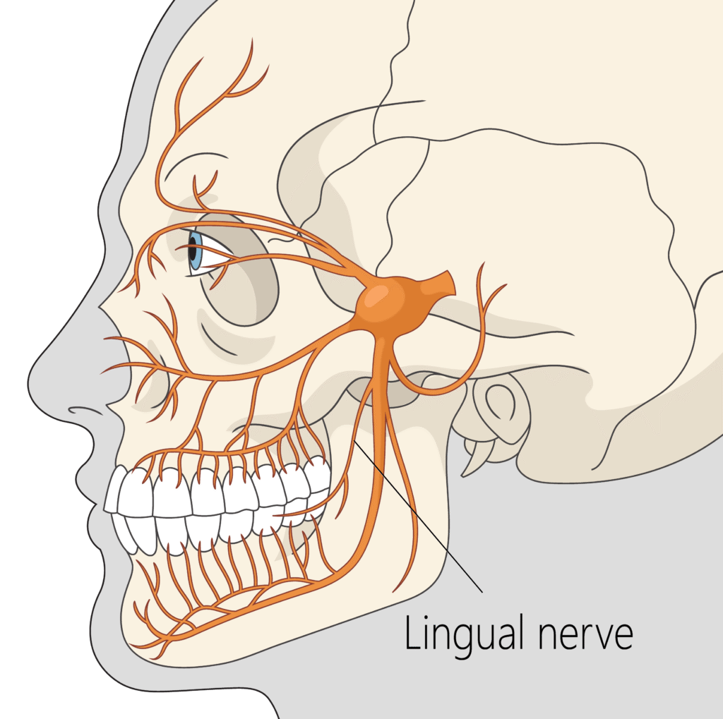 Patient Journeys-Jordan - Global Nerve Foundation